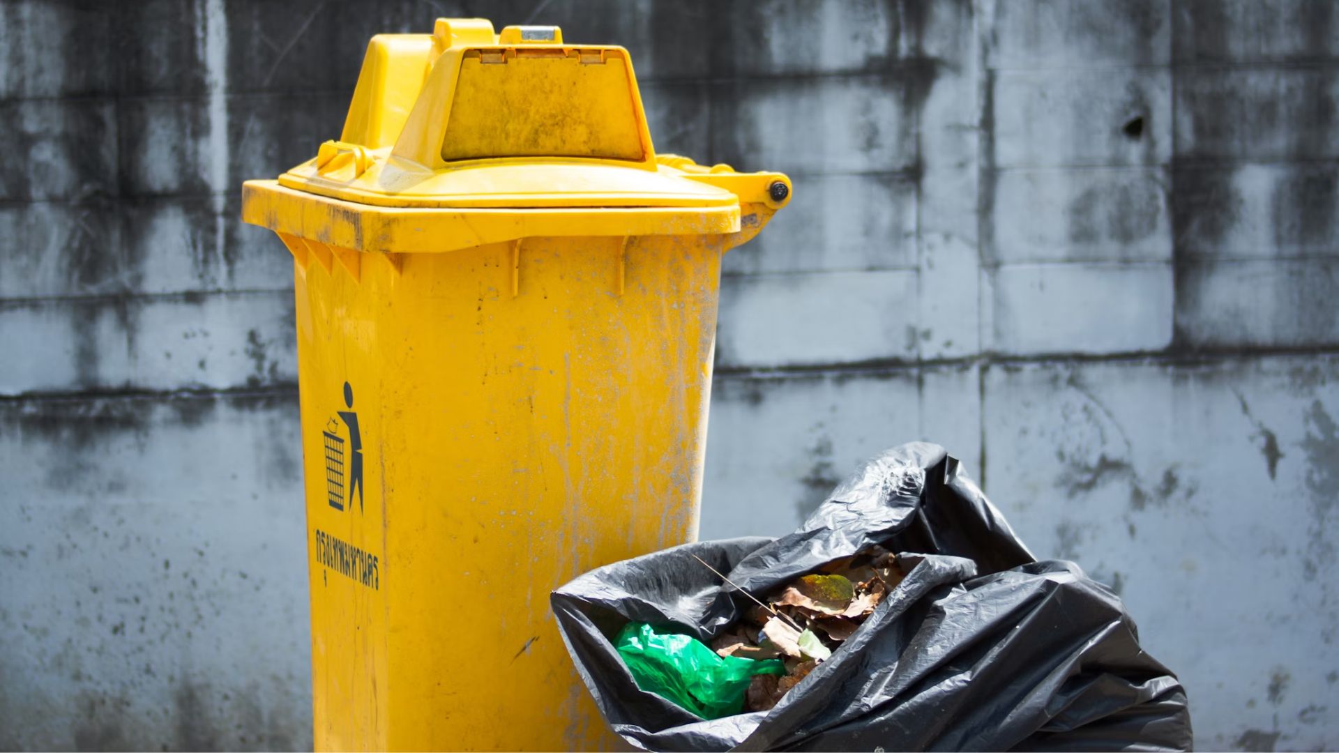 Fort Walton Beach keeps garbage pickup steady while recycling shifts ...